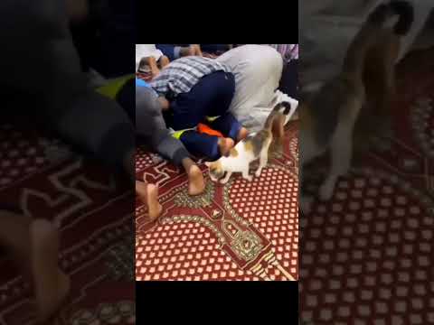 insanı güldüren bir o kadar da düşündüren videolar # ilginç videolar # mizahi videolar #