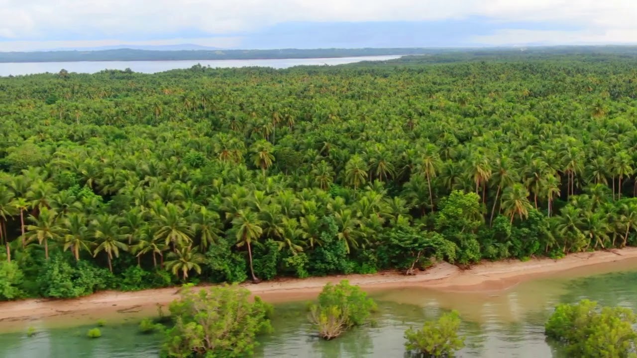 LAMESANG BATO, CAPALUHAN BEACH, CALAUAG, QUEZON - YouTube