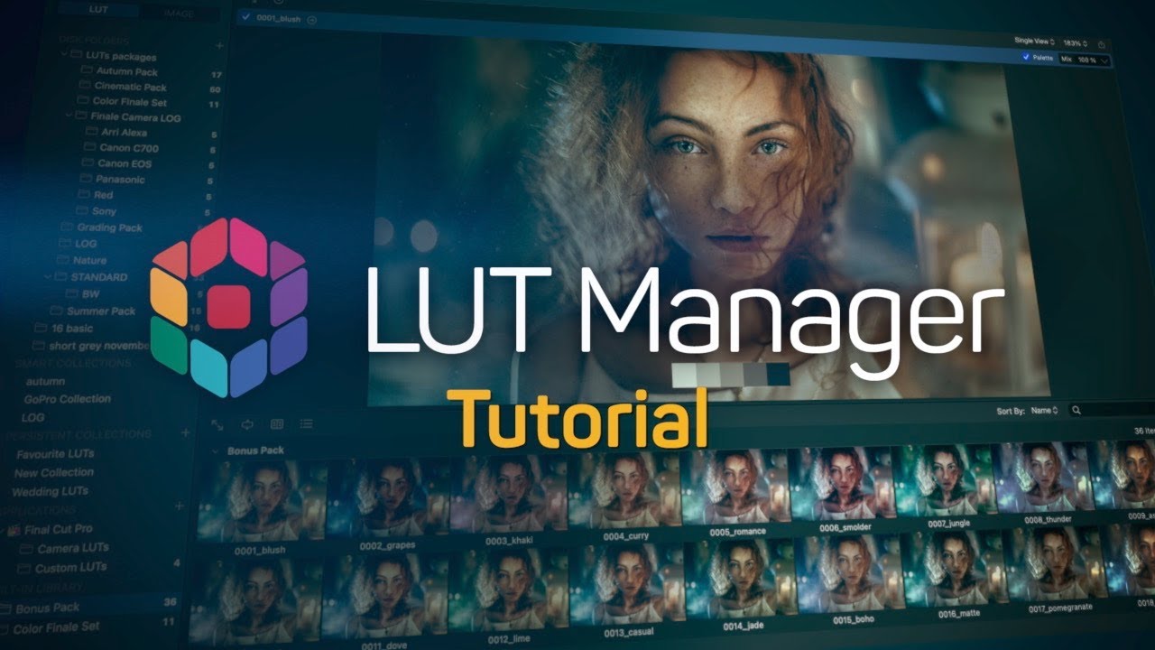 How to Preview LUTs | 2022 LUT Manager (.cube) - YouTube