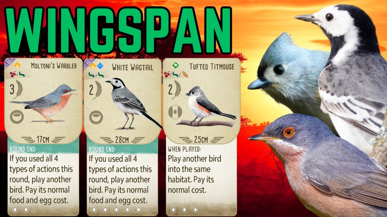 PAB-Pandemonium! Wingspan Board Game Strategy & Gameplay - YouTube