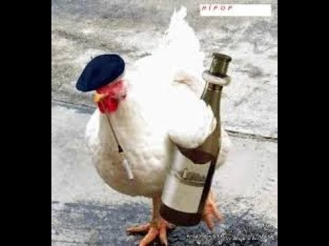 Ohaaaaa Horoz haykırdı nerdeyse