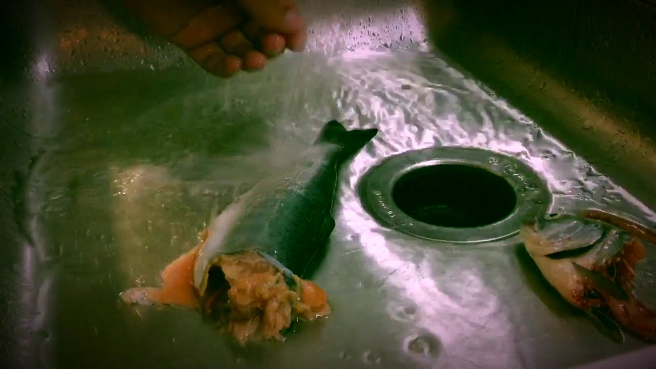 Reeling it in - YouTube