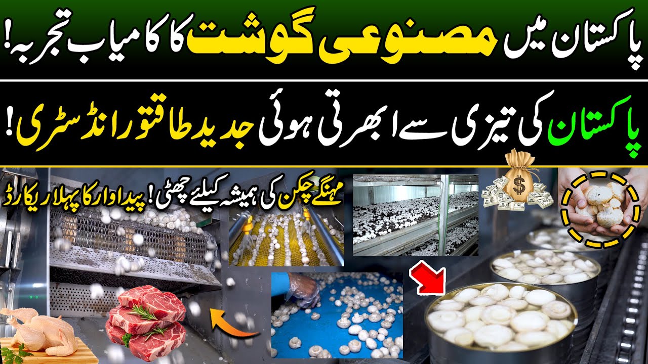 Artificial Meat in Pakistan | How To Grow Mushrooms At Home ? Billion ...