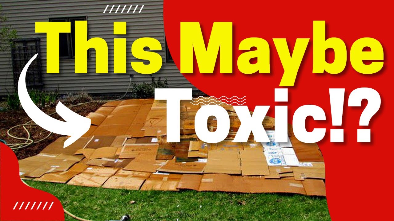 Cardboard Mulch For The Garden Soil Scientist Breaks Down Cardboard