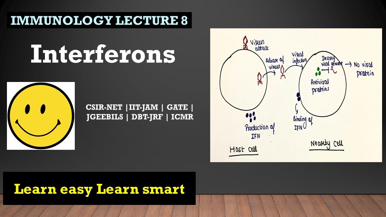 Interferons | Types | Mechanism - YouTube