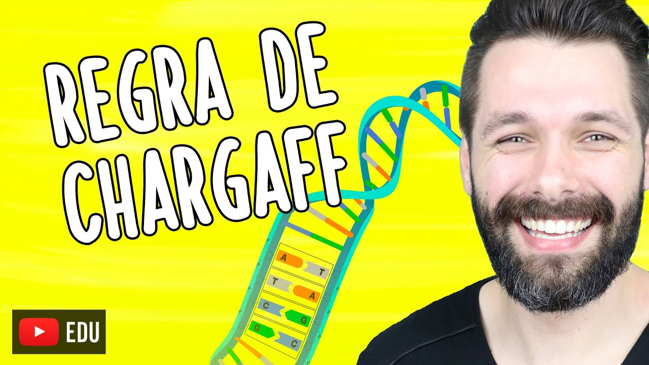 REGRA DE CHARGAFF - O pareamento de BASES NITROGENADAS no DNA ...
