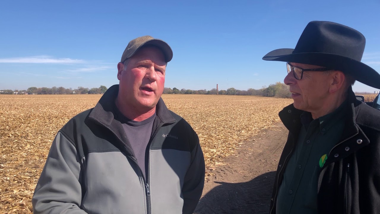 How To Increase Popcorn Yields And Quality Using Yield Champions How To Increase Popcorn Yields And Quality Using Yield Champions