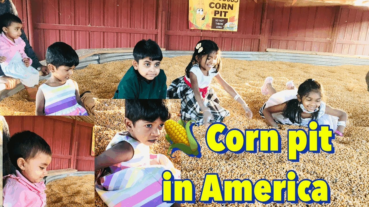అమెరికాలో Corn pit || Kids @ USA playing in little cobbs corn pit - YouTube