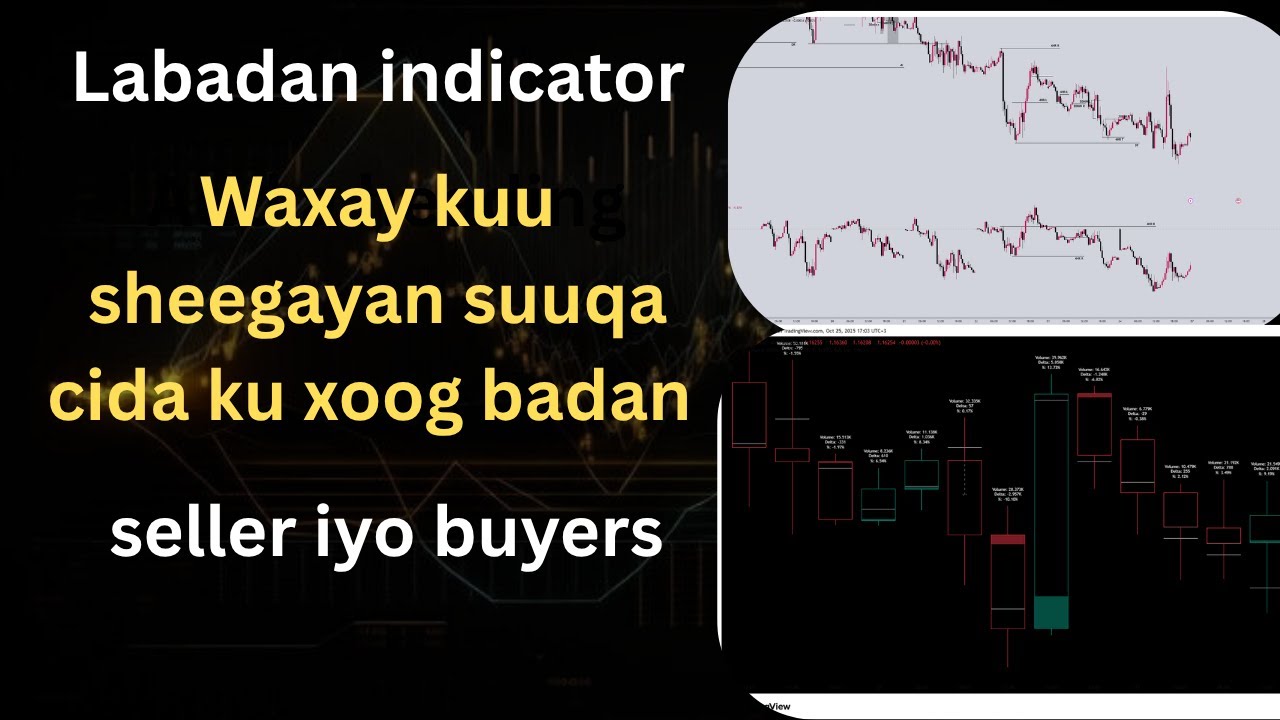 Waxad ku noqon kartaa profitable || 25 oct 2025 - YouTube