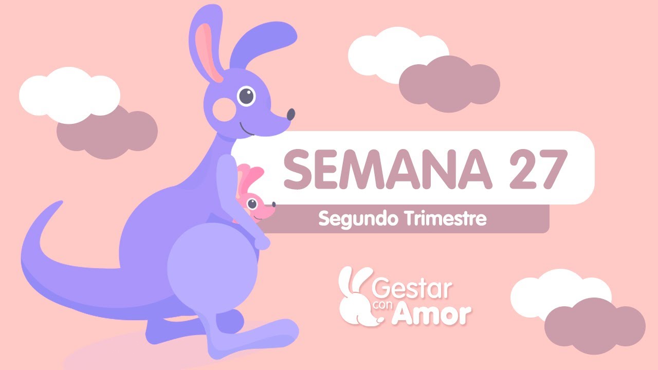 Semana 27 de embarazo - Desarrollo del bebé y cambios en tu cuerpo ...