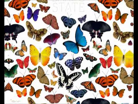 Lifeblood - Bardo State - YouTube