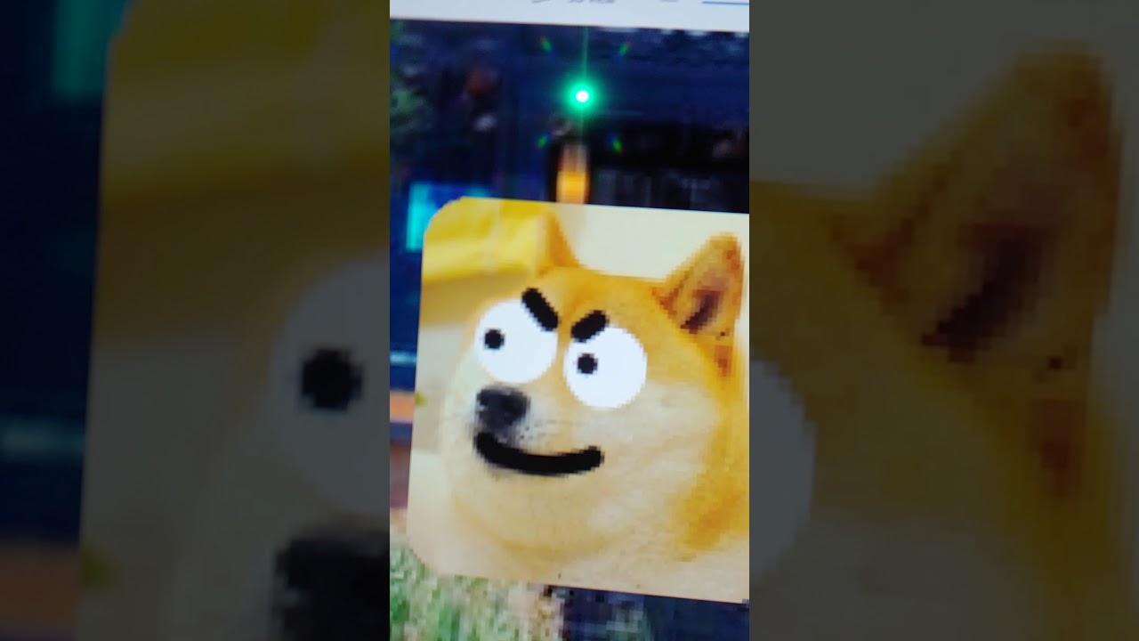 Doge Go's to "TACO DOGE" - YouTube