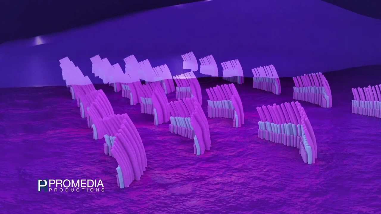 How Hearing Works Animation (No-Audio) - YouTube