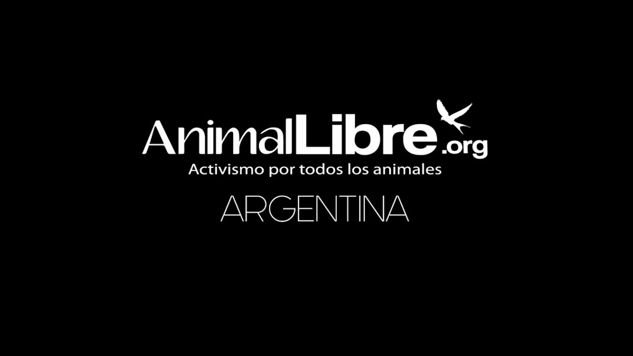 Animal Libre Argentina - Un año de trabajo por los animales 2015 / 2016 ...