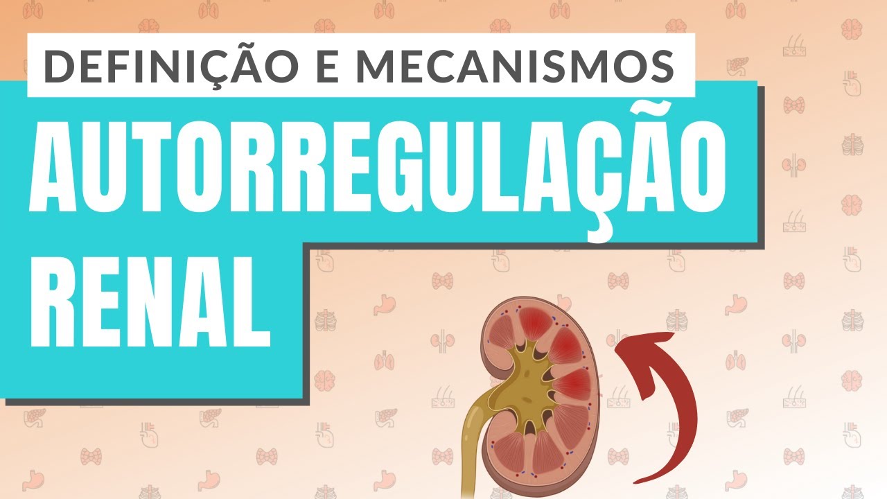 AUTORREGULAÇÃO RENAL I PARTE 1: Definição e mecanismos - YouTube