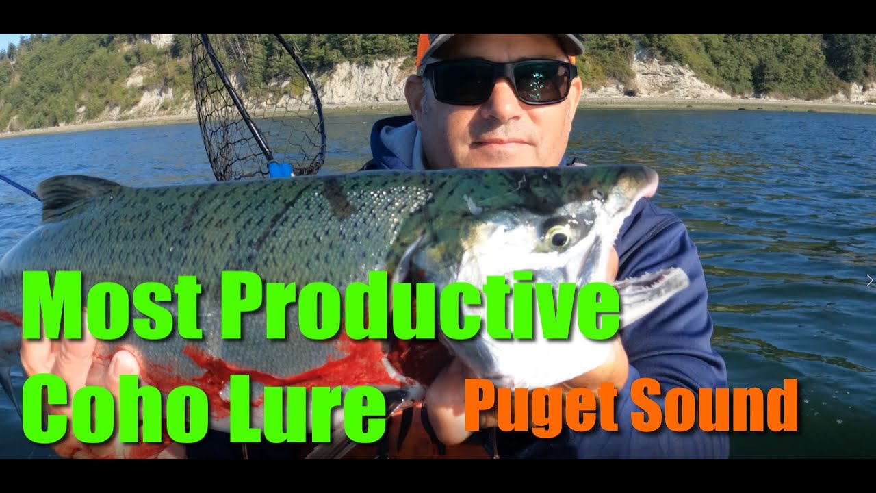 These Are My Most Productive Coho Lures for Puget Sound - YouTube