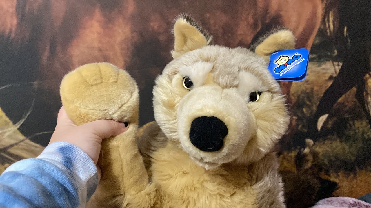 SEMO Wolf Unboxing!!!! - YouTube