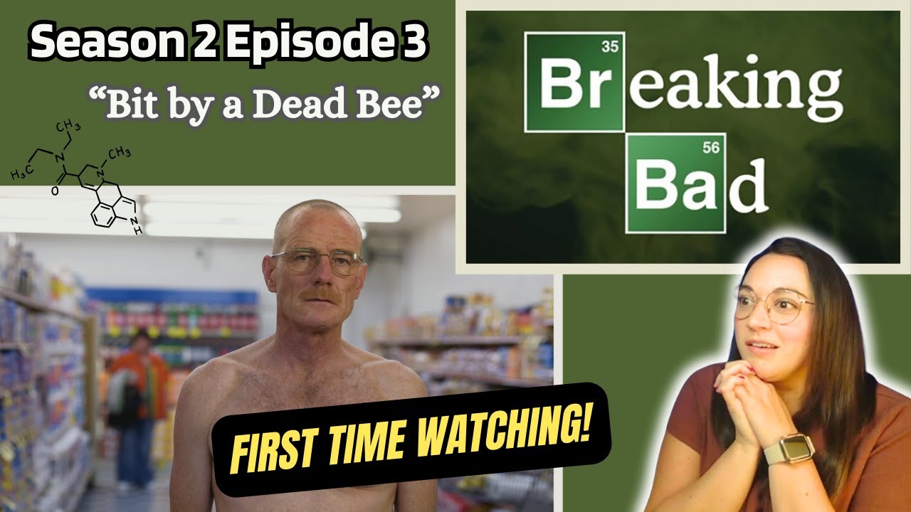 First Time Watching! BREAKING BAD REACTION 2X3 "Bit by a Dead Bee ...