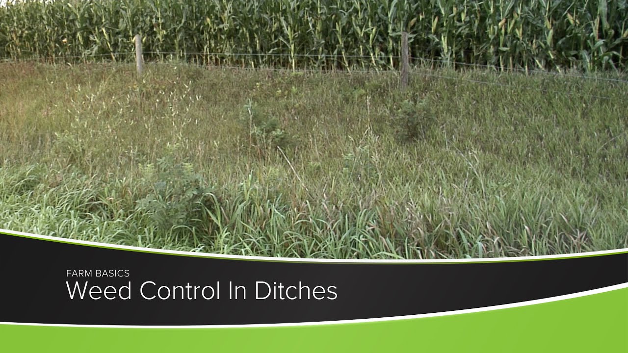 Weed Control In Ditches - YouTube