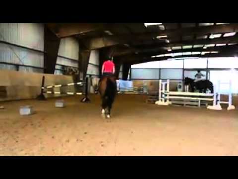 Rain On My Heart Flatwork (Trot) - YouTube