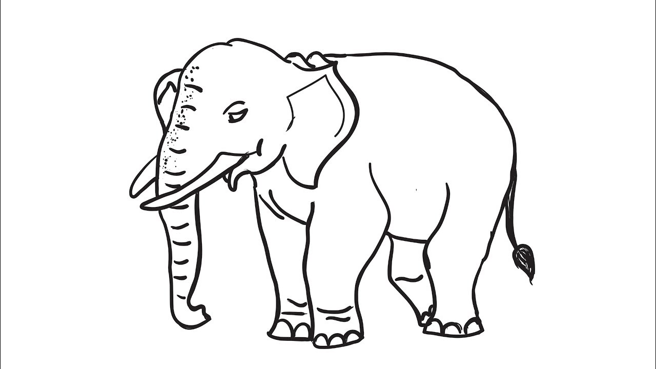 FREE HAND DRAWING ELEPHANT - YouTube