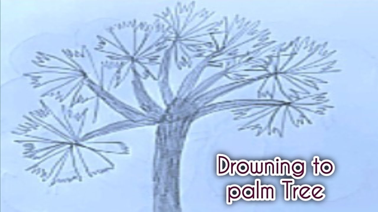 How to Draw palm Tree | Easy and Simple palm Tree Drawing | MPH455 ...