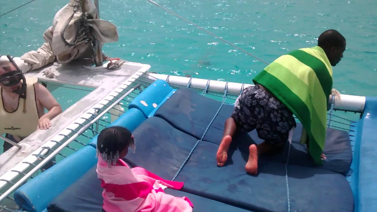 Dolphin Snorkeling Tours Aruba - YouTube