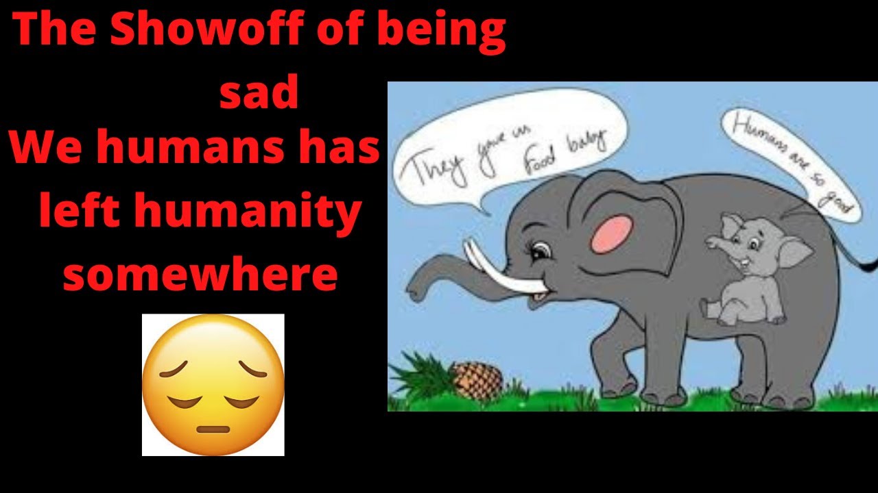The sad reality of humans.||we need to think about this. - YouTube