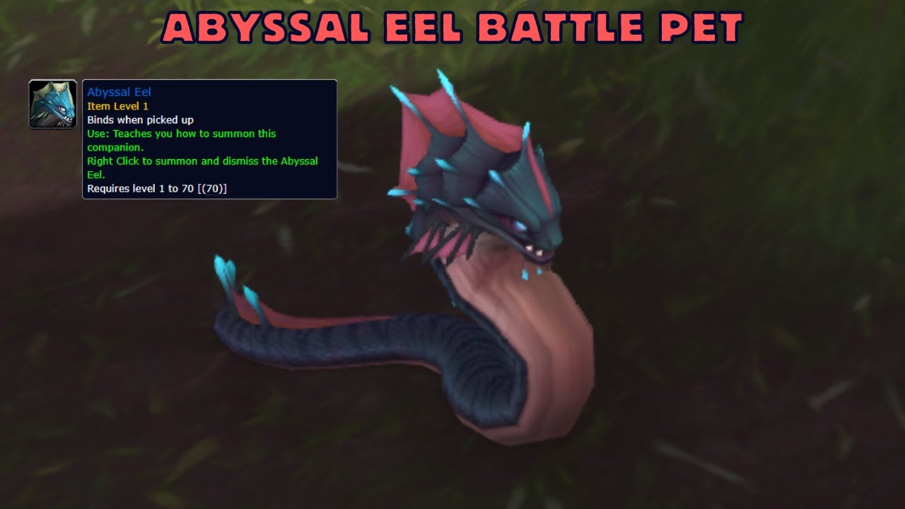 Abyssal Eel Battle Pet Retail WoW (Alliance vendor) - YouTube