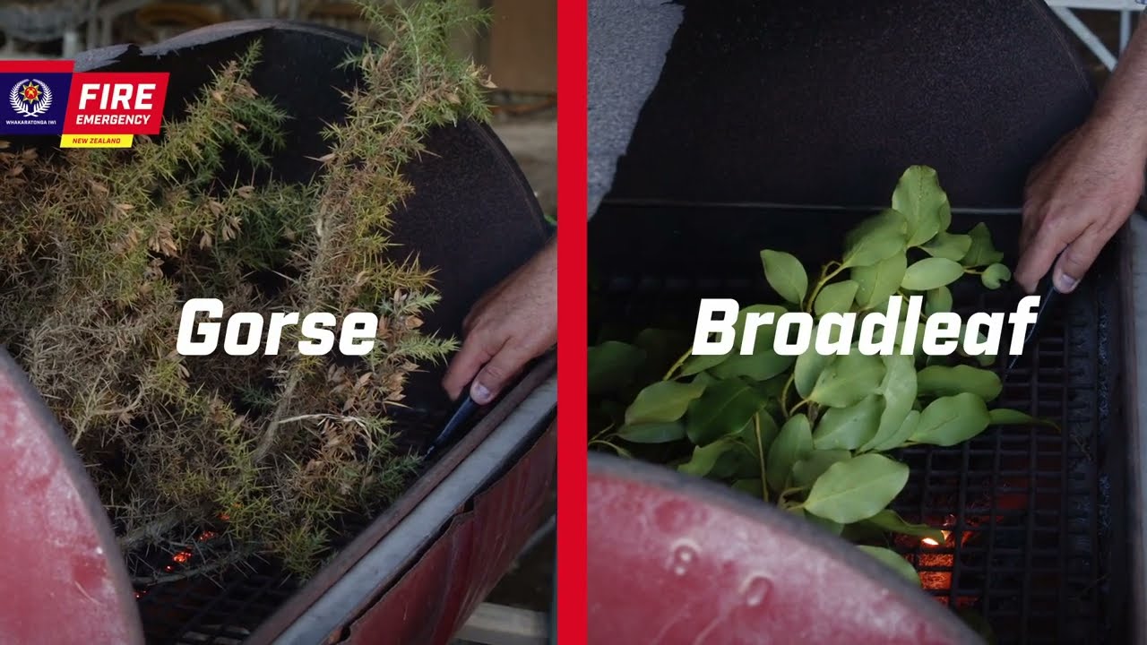 Demonstrating plant flammability with Samuel Whitelock - YouTube