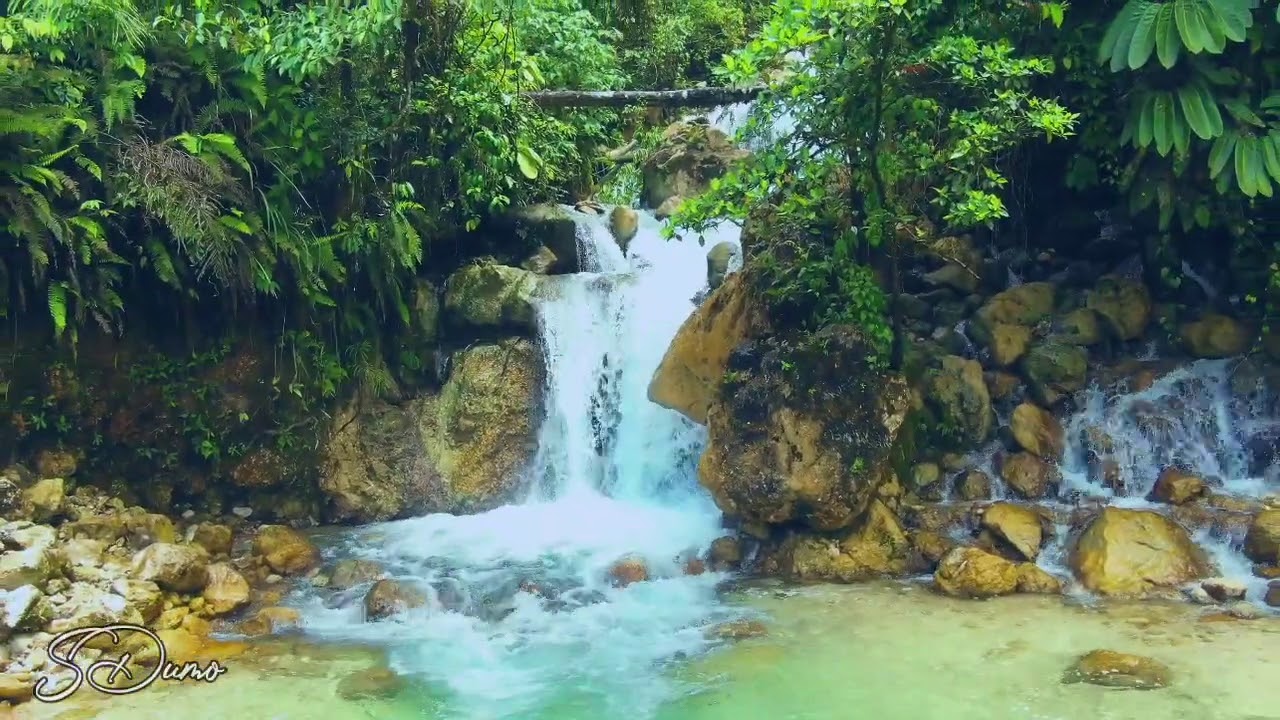Waterfall in Tabubil - YouTube