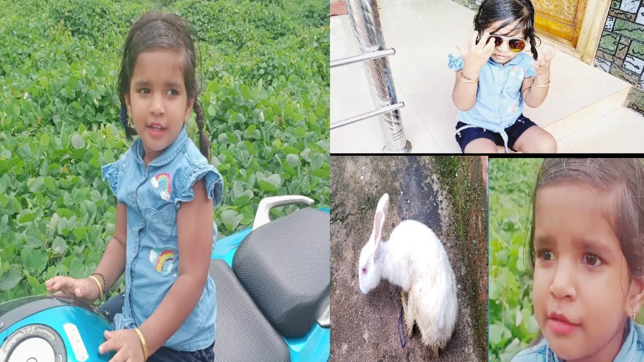 @AmyRah's day with rabbit//@Amyrah playing with rabit//@Amyrah Fathima ...