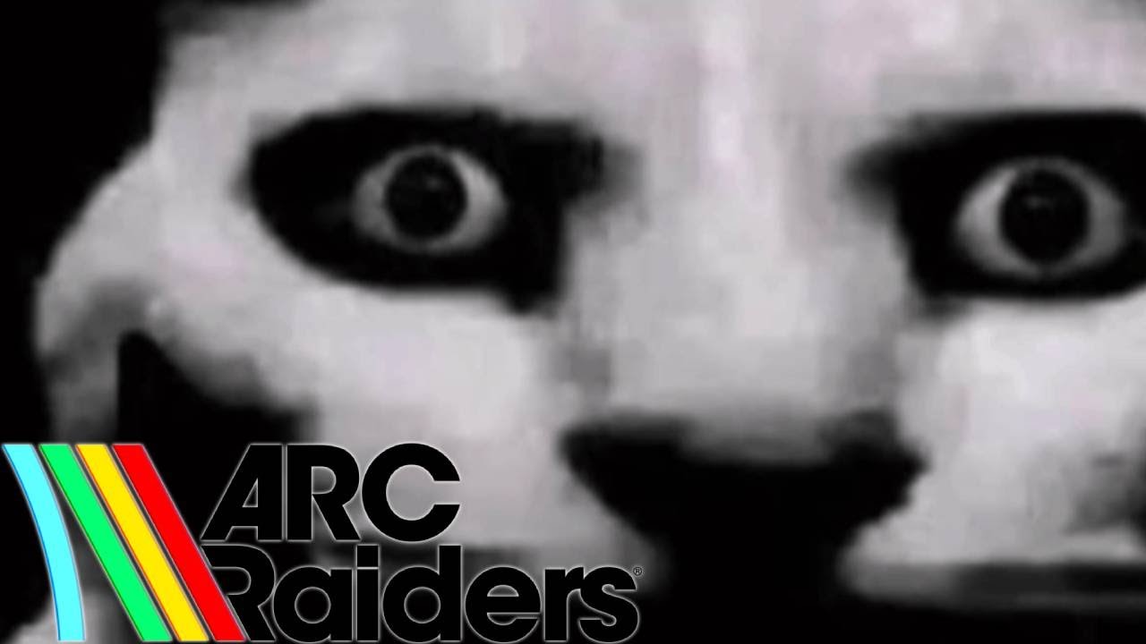 Arcin On My Raider Til I Loot - YouTube