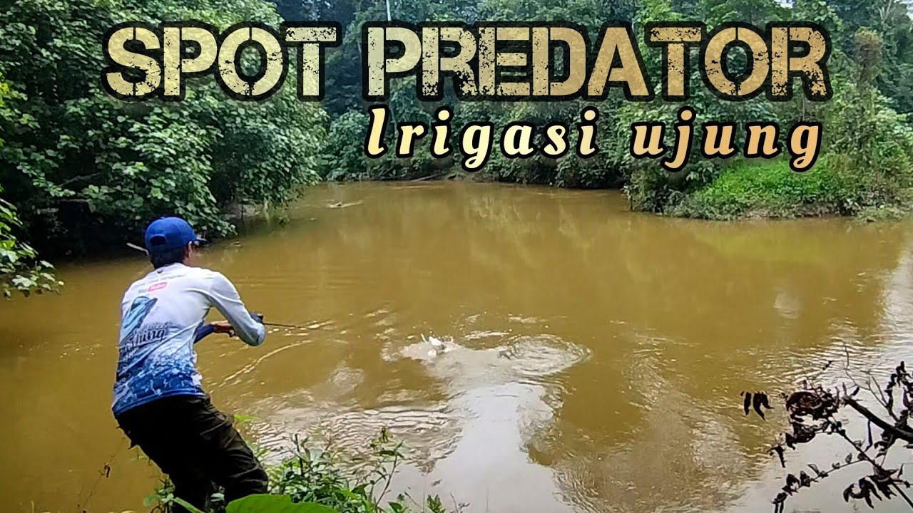Casting Barramundi || Spot Predator Irigasi Ujung #Timika-Papua 🎣💪👍😎 ...