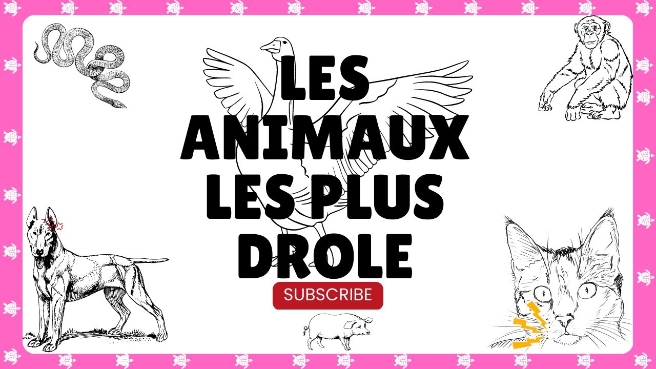 When animals misbehave: hilarious compilation! 😻(Quand les animaux font ...