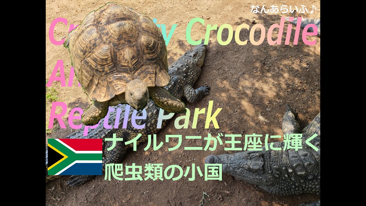 爬虫類の小国。Croc City Crocodile And Reptile Park - YouTube