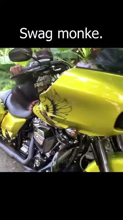 Swag Monke... #shorts - YouTube