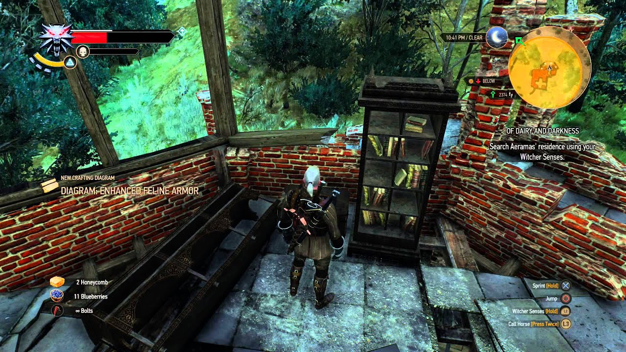 The Witcher 3 Wild Hunt Diagram Enhanced Feline Armor - Location Wicher ...