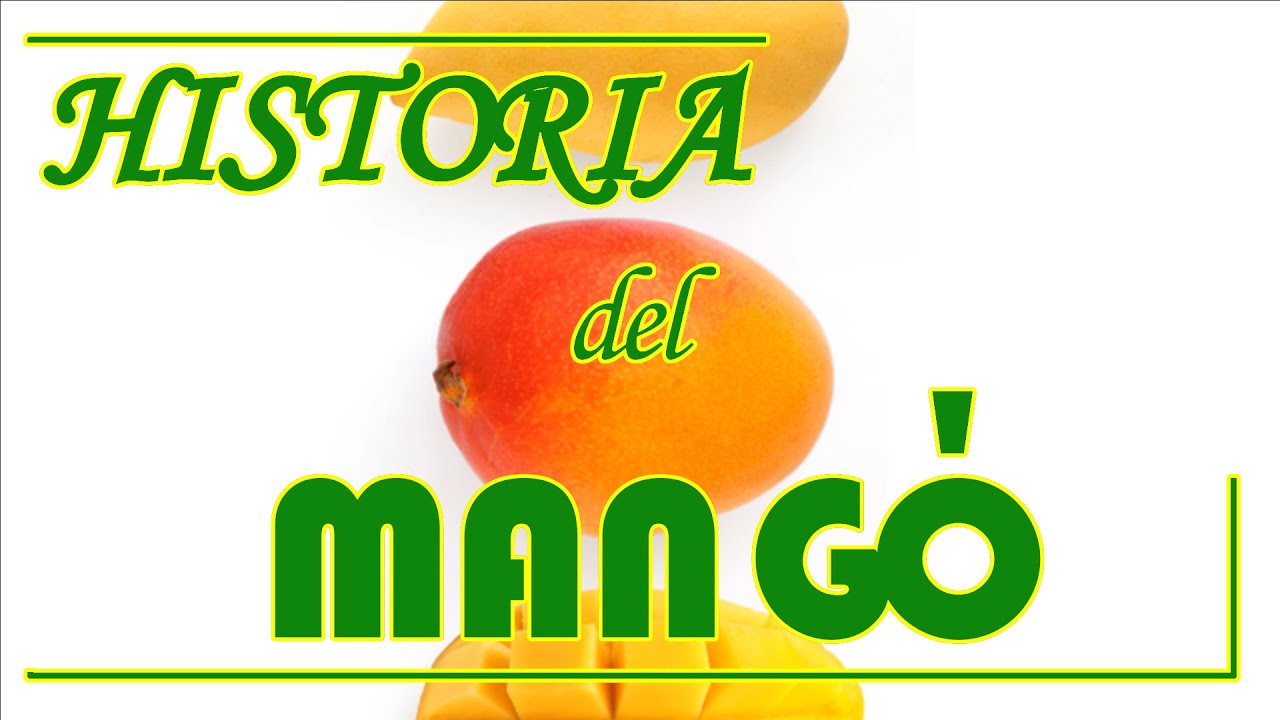 La Historia del Mangó: Origen y Curiosidades - YouTube