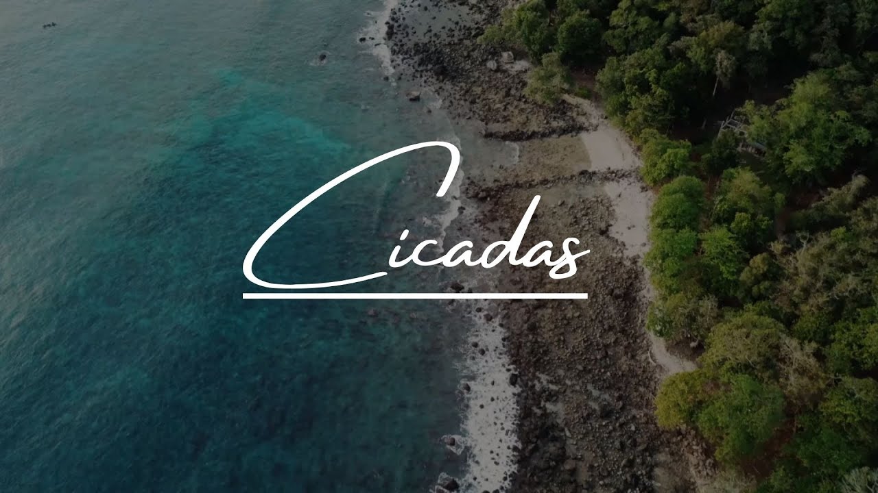 Cicadas | 4K Summer Cicada Sound, nature relaxing sounds | 1 Hour - YouTube