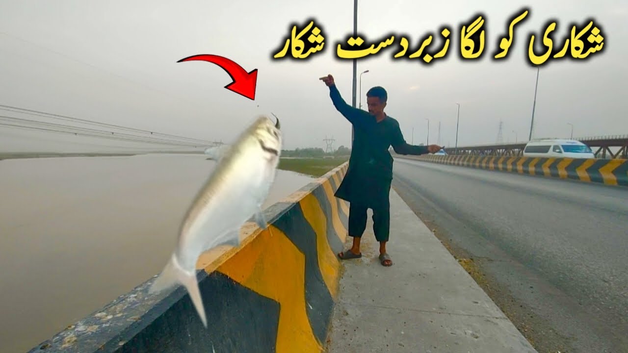 Huge Fish Caught in River Chenab! 🎣 (Unbelievable Fight)|Monster Catch ...