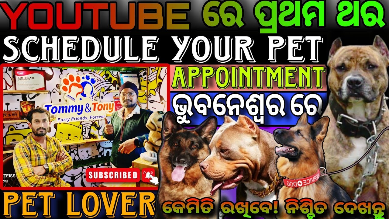 "Is TOMMY & TONY Really the Best?" The Cutest Pet Moments That Will ...