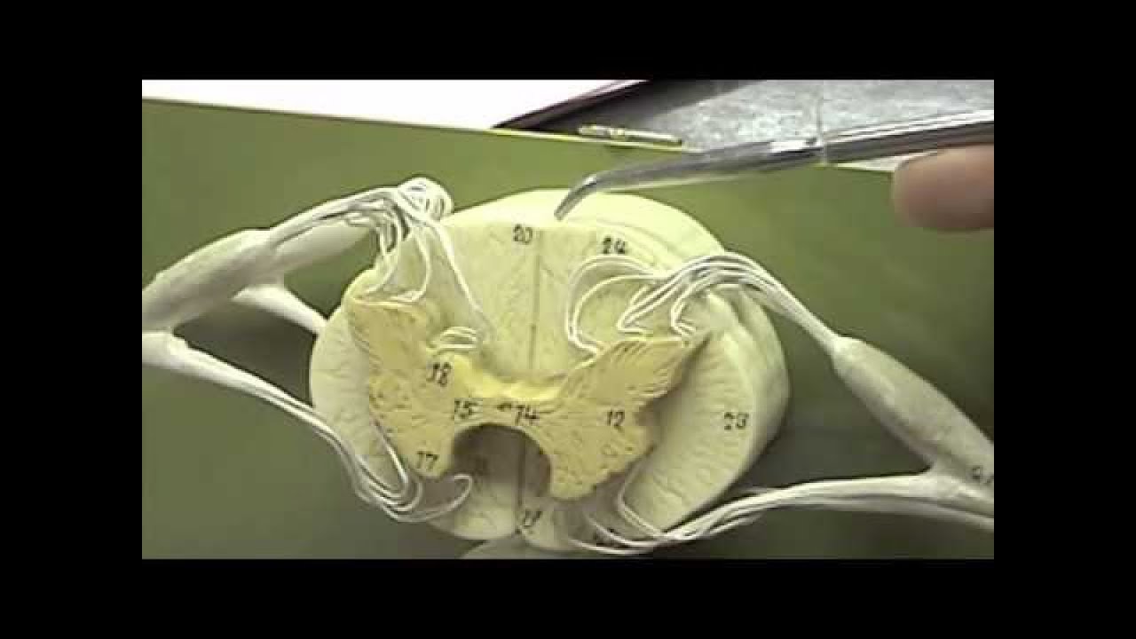 Gray Matter Interactive - YouTube