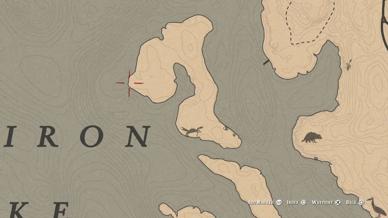 RDR2 Online - Toad locations for Daily Challenge - YouTube