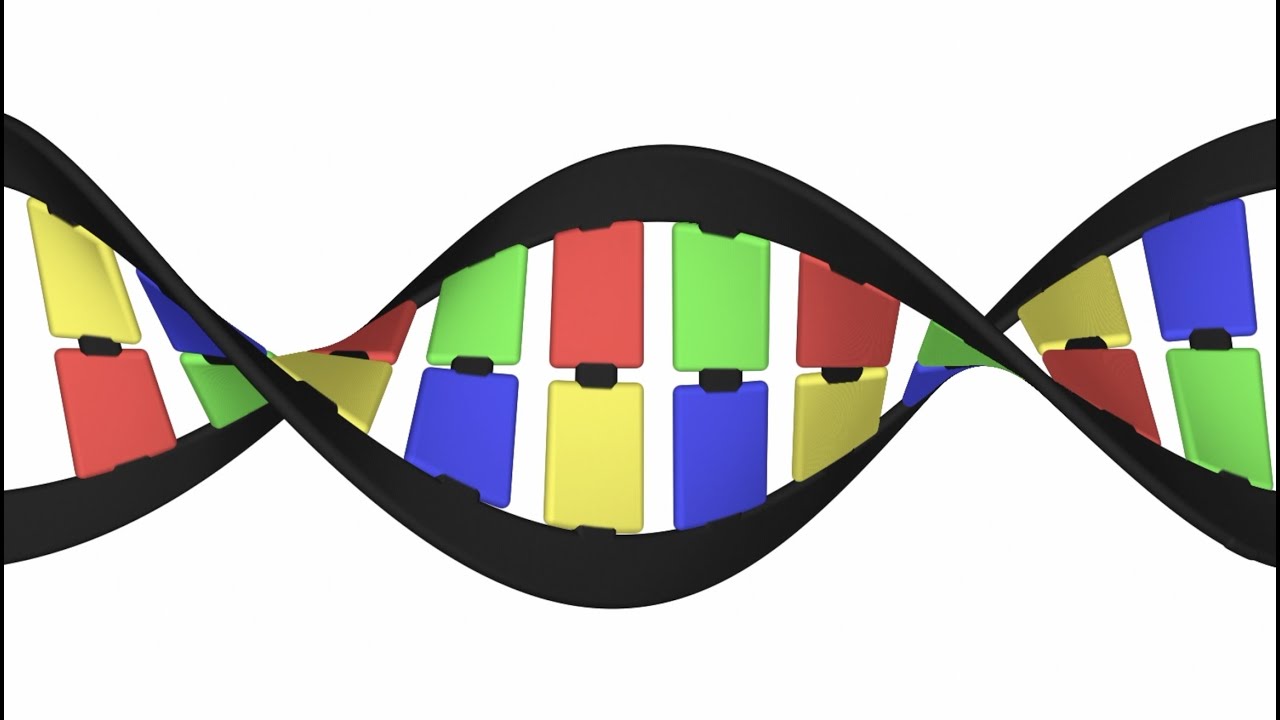 Capstone Group 1201 - Genetic Modification Technology - YouTube