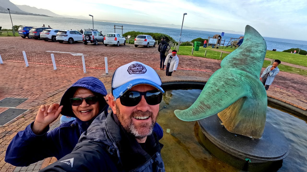 HERMANUS - BEST land-based WHALE WATCHING in the WORLD - Day 10 🇿🇦 ...