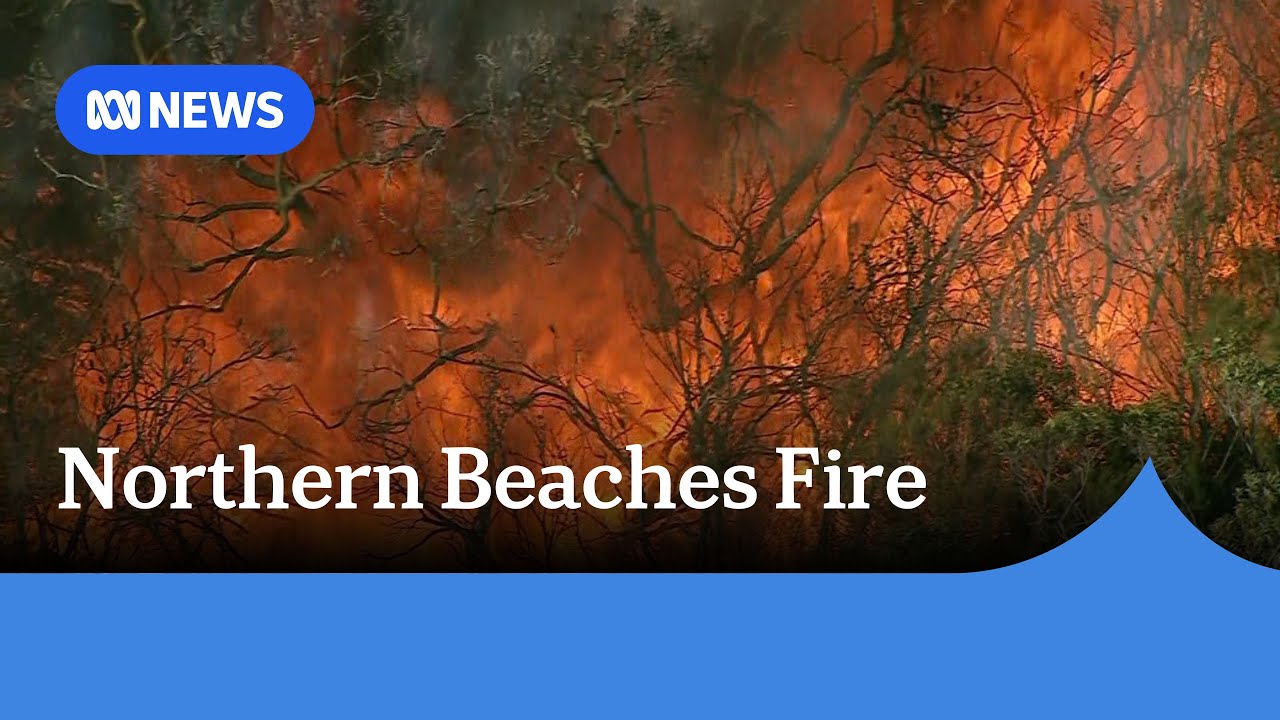 Out of control bushfire in the Northern Beaches downgraded to a Watch ...