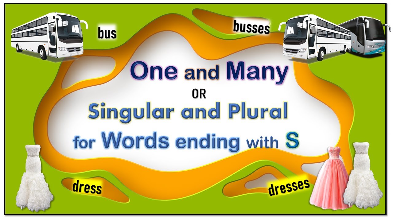 What is One and Many in English Grammar | Singular and Plural words for ...