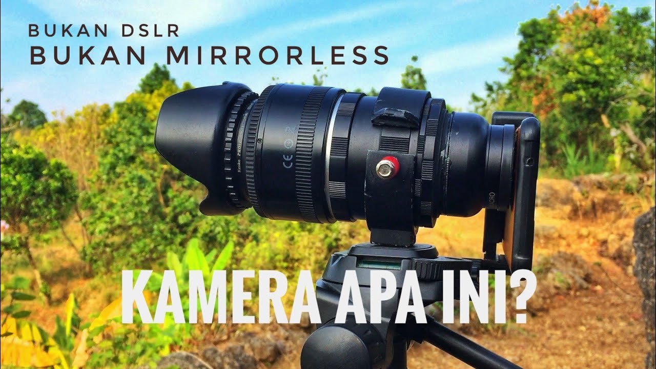 ADAPTER LENSA DSLR KE HP & LENSA FIX YONGNUO 50MM HASILNYA TAJAM ...