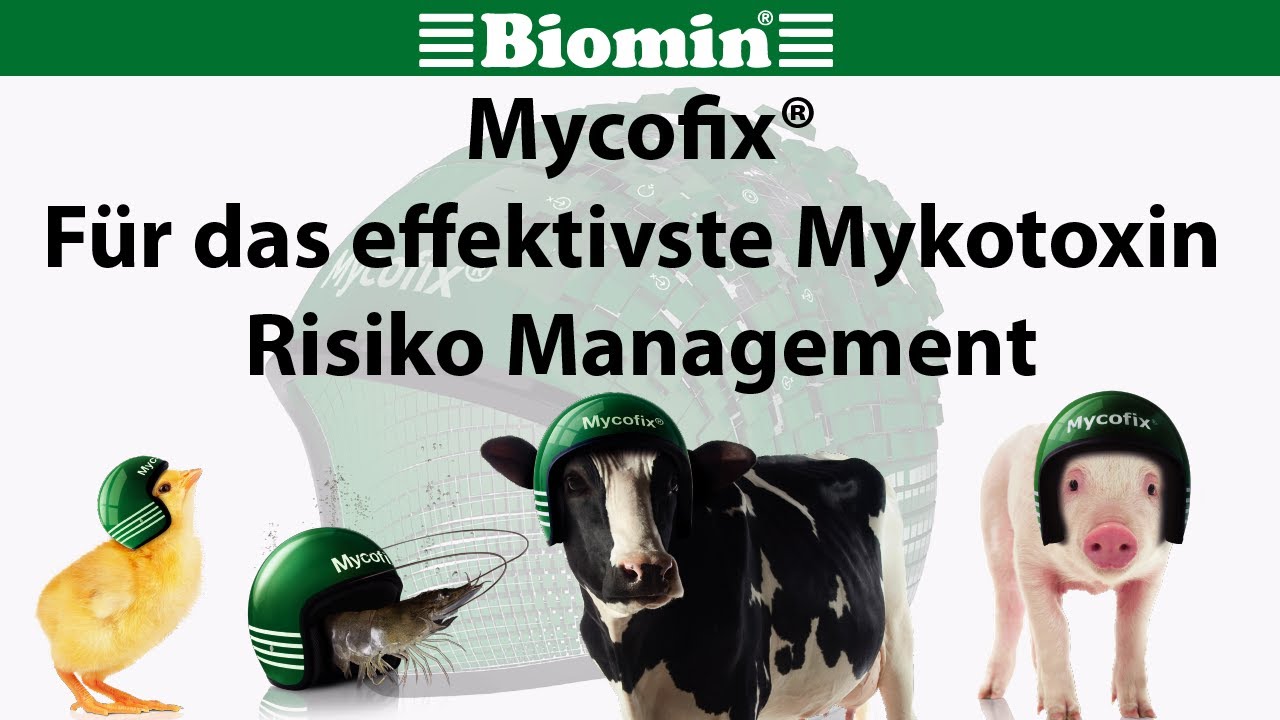 Mycofix® - Für das effektivste Mykotoxin Risiko Management - YouTube